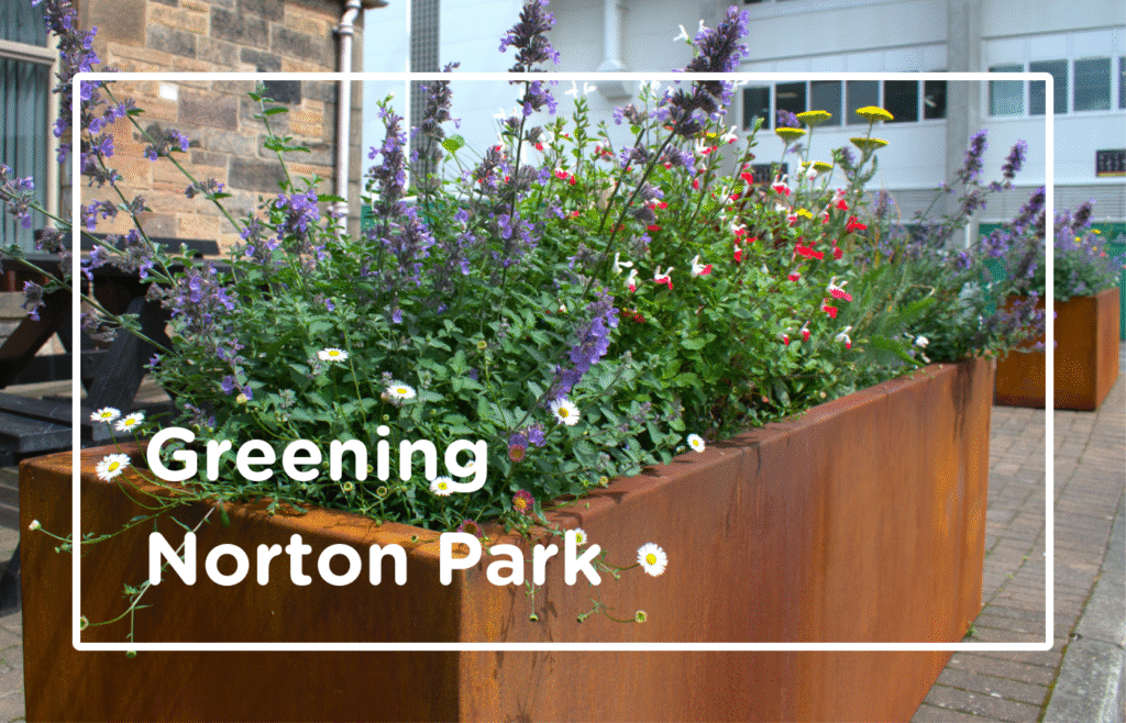 Norton Park unveils new greenspaces to increase biodiversity